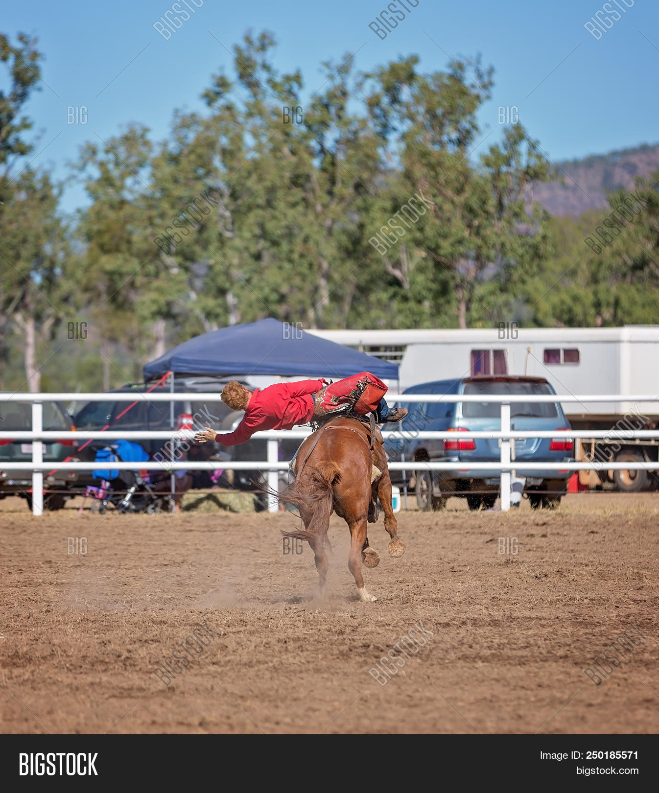 Cowboy Riding Bucking Image & Photo (Free Trial) | Bigstock