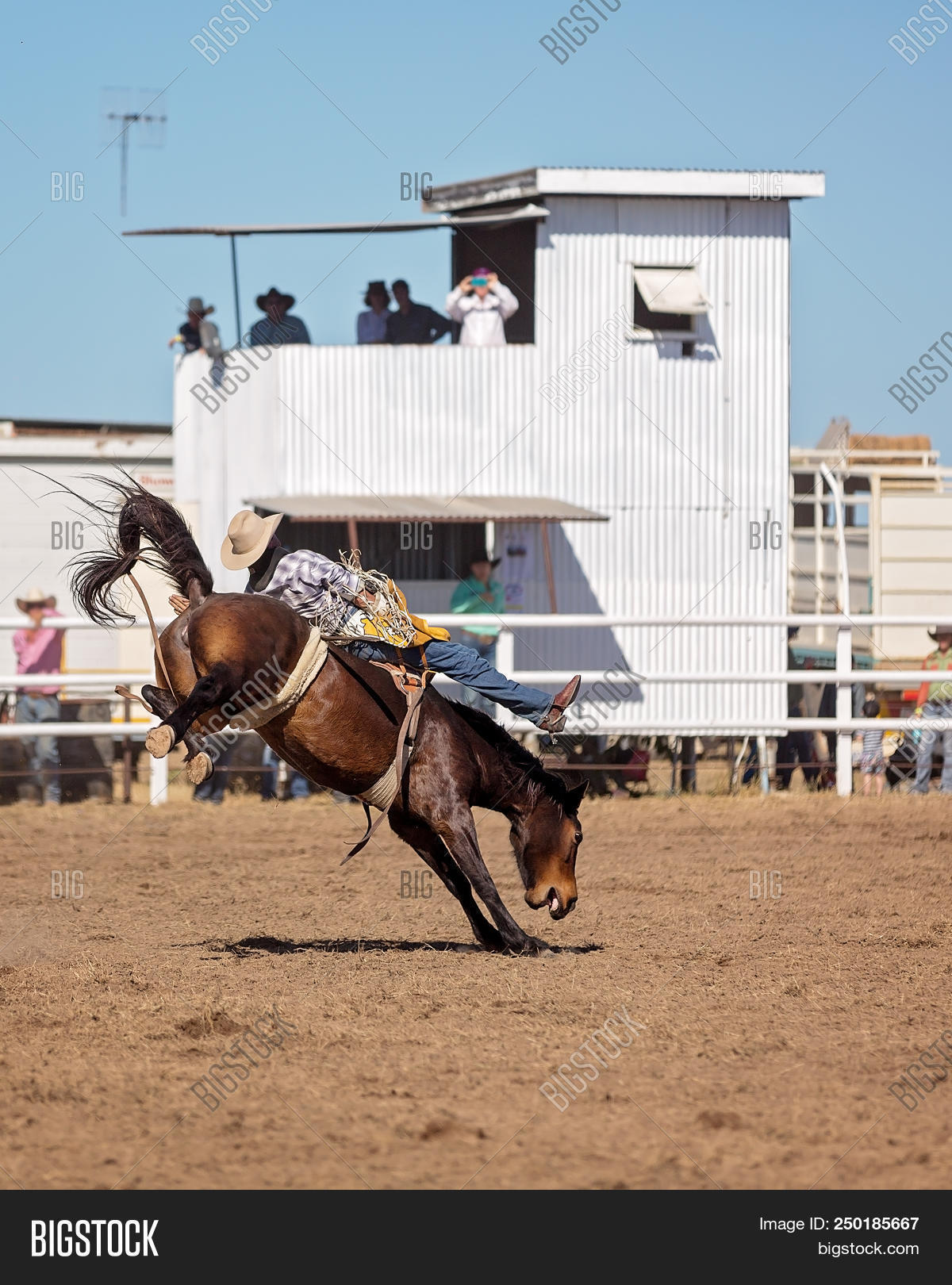 Cowboy Riding Bucking Image & Photo (Free Trial) | Bigstock