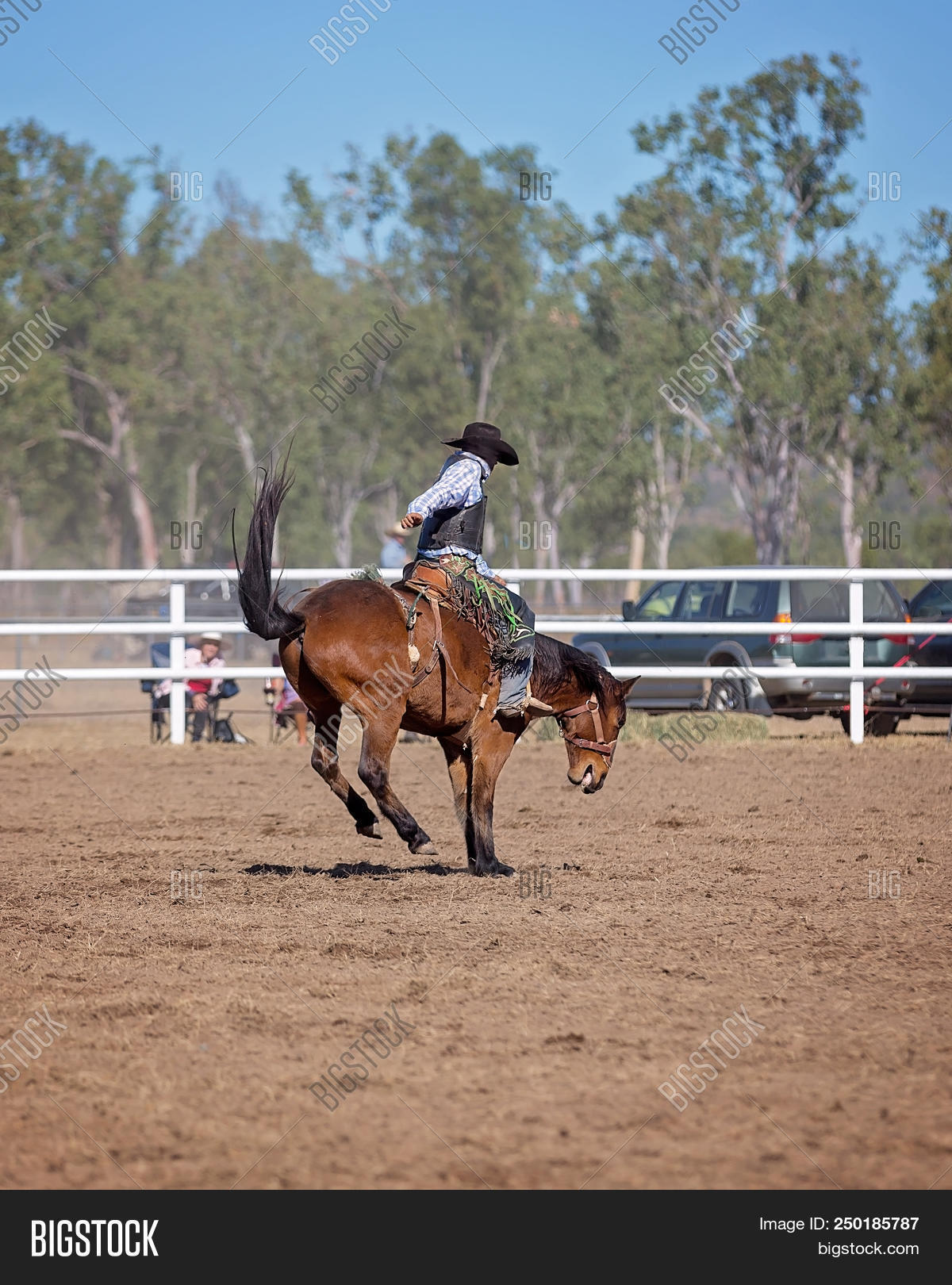 Cowboy Riding Bucking Image & Photo (Free Trial) | Bigstock