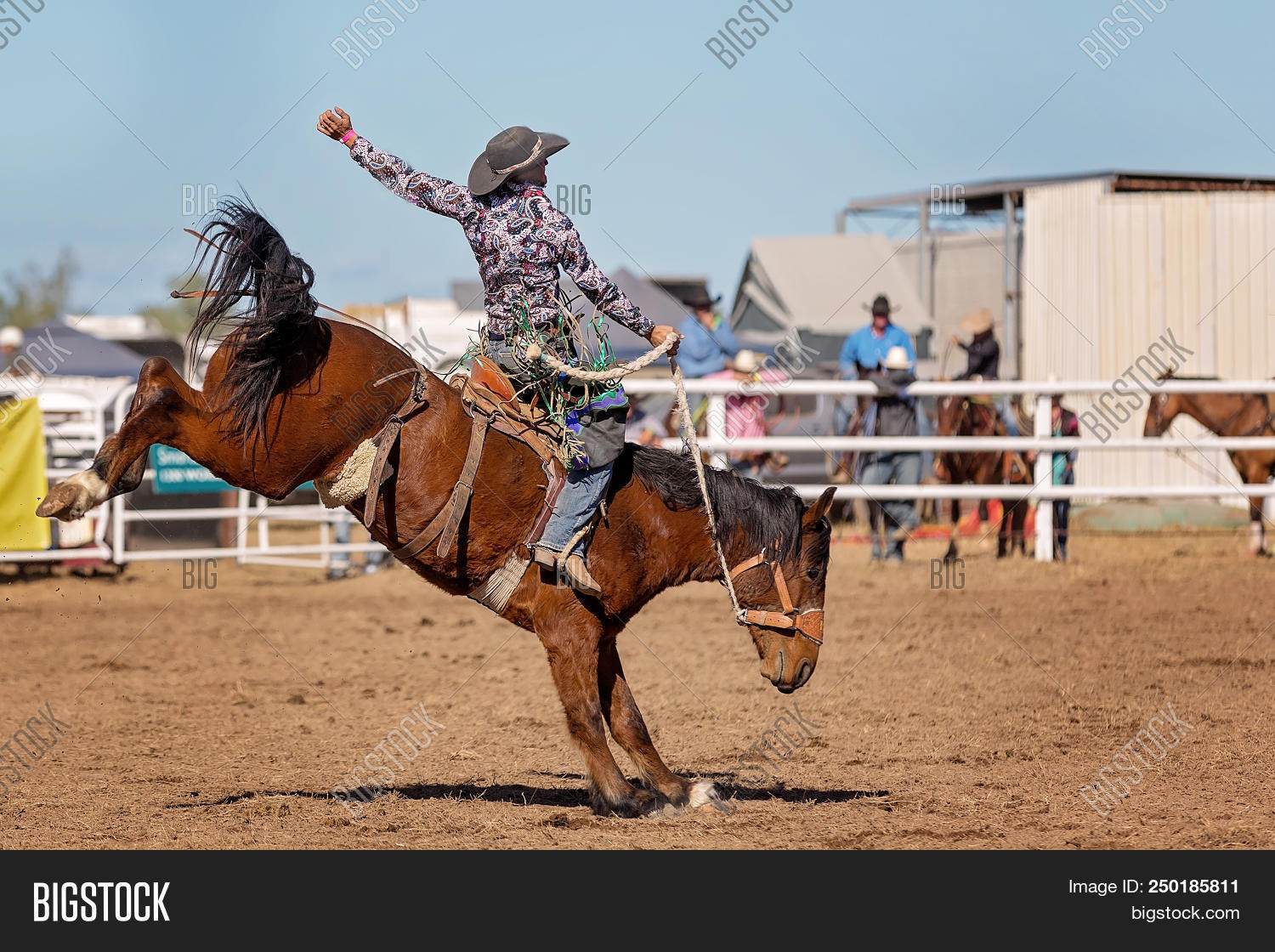 Cowboy Riding Bucking Image & Photo (Free Trial) | Bigstock