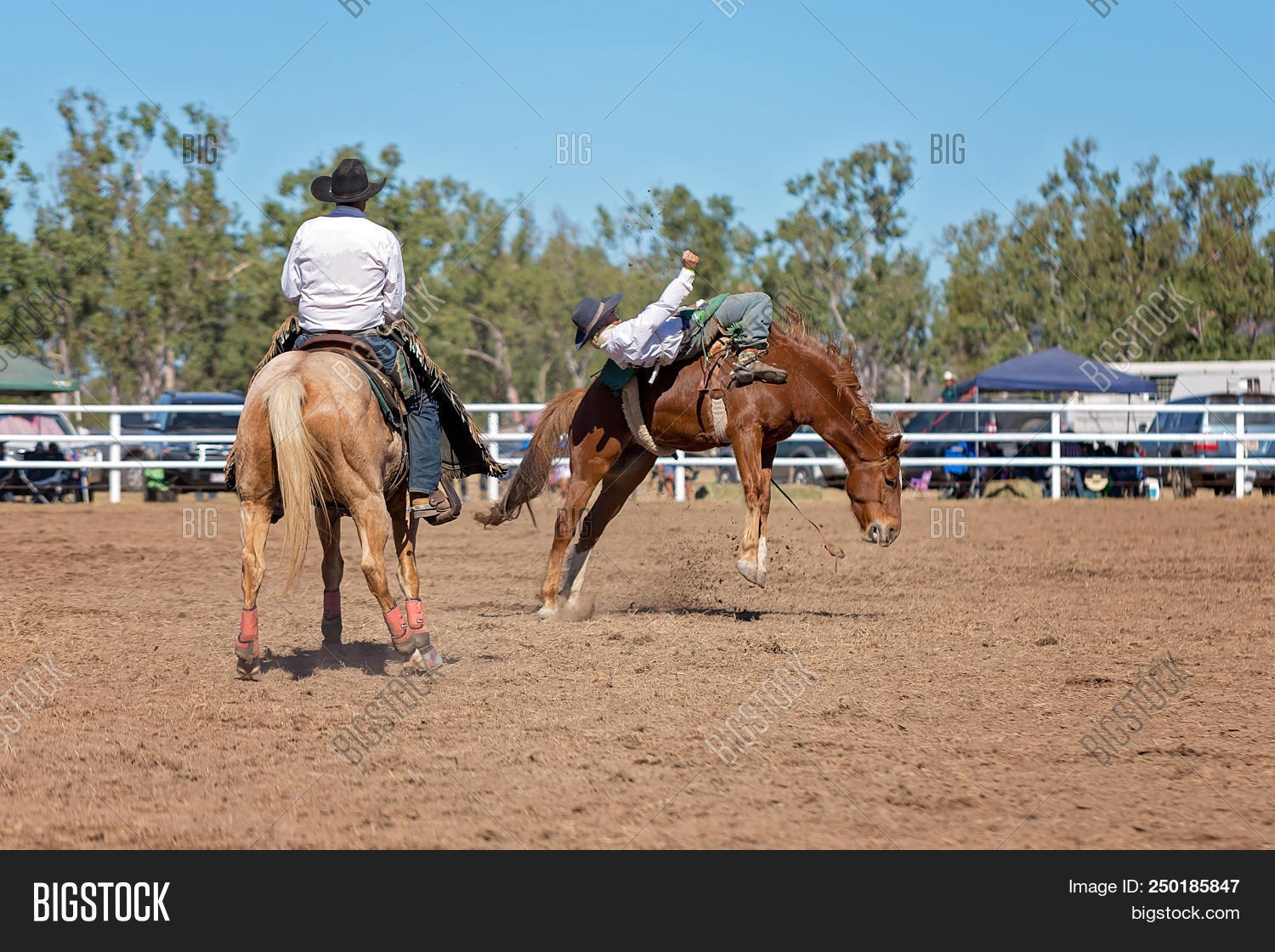 Cowboy Riding Bucking Image & Photo (Free Trial) | Bigstock