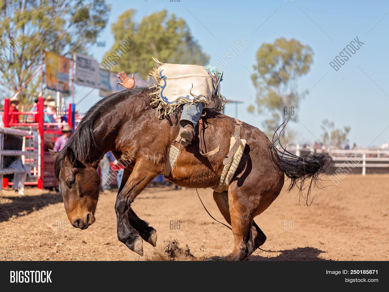 Cowboy Riding Bucking Image & Photo (Free Trial) | Bigstock