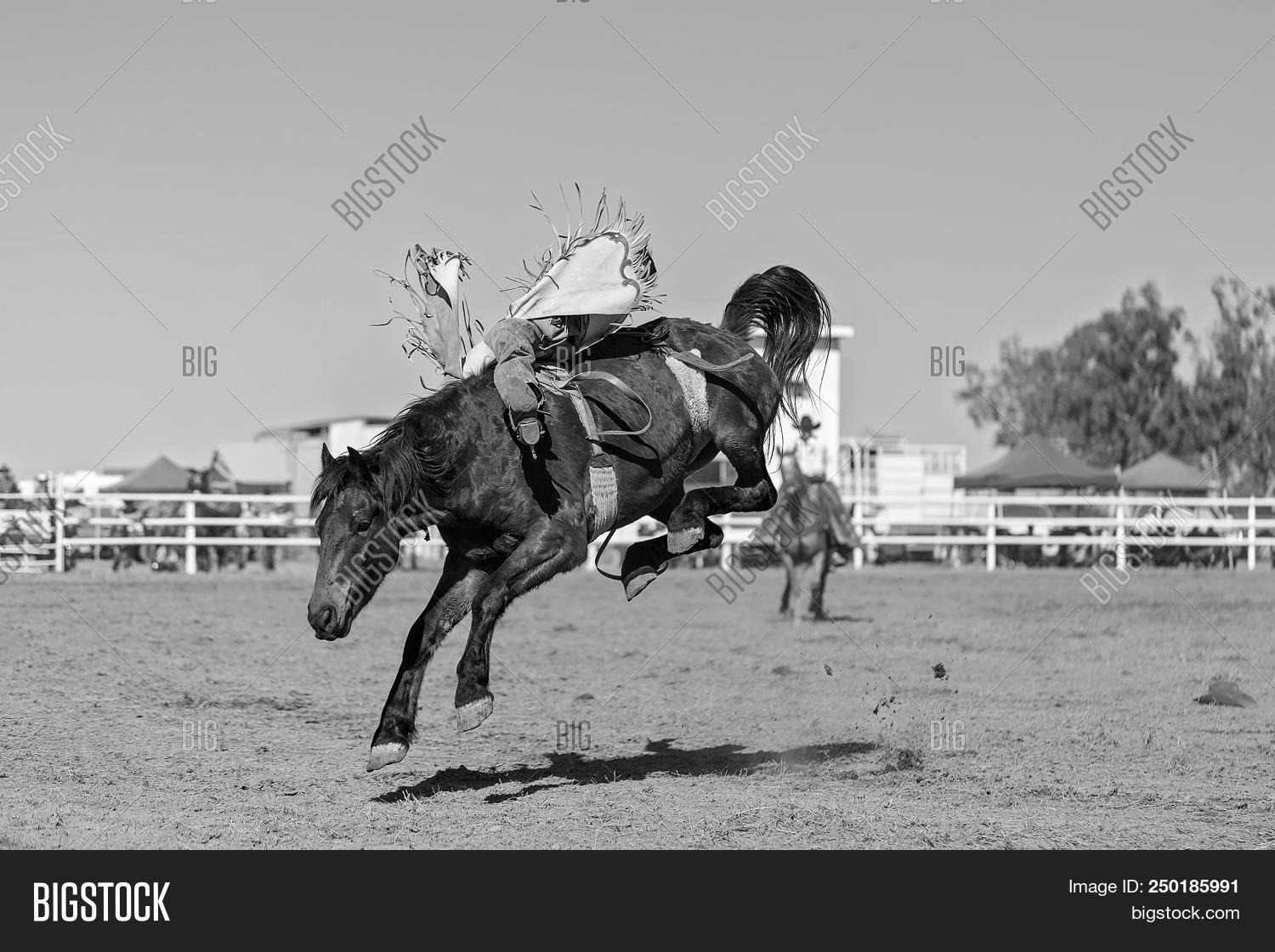 Cowboy Riding Bucking Image & Photo (Free Trial) | Bigstock