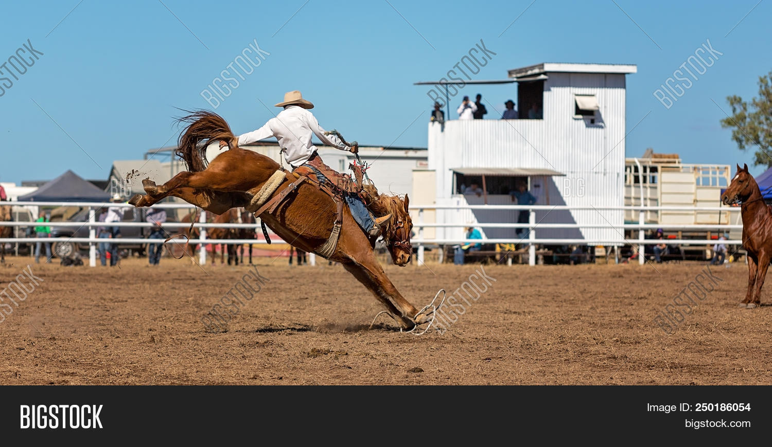 Cowboy Riding Bucking Image & Photo (Free Trial) | Bigstock