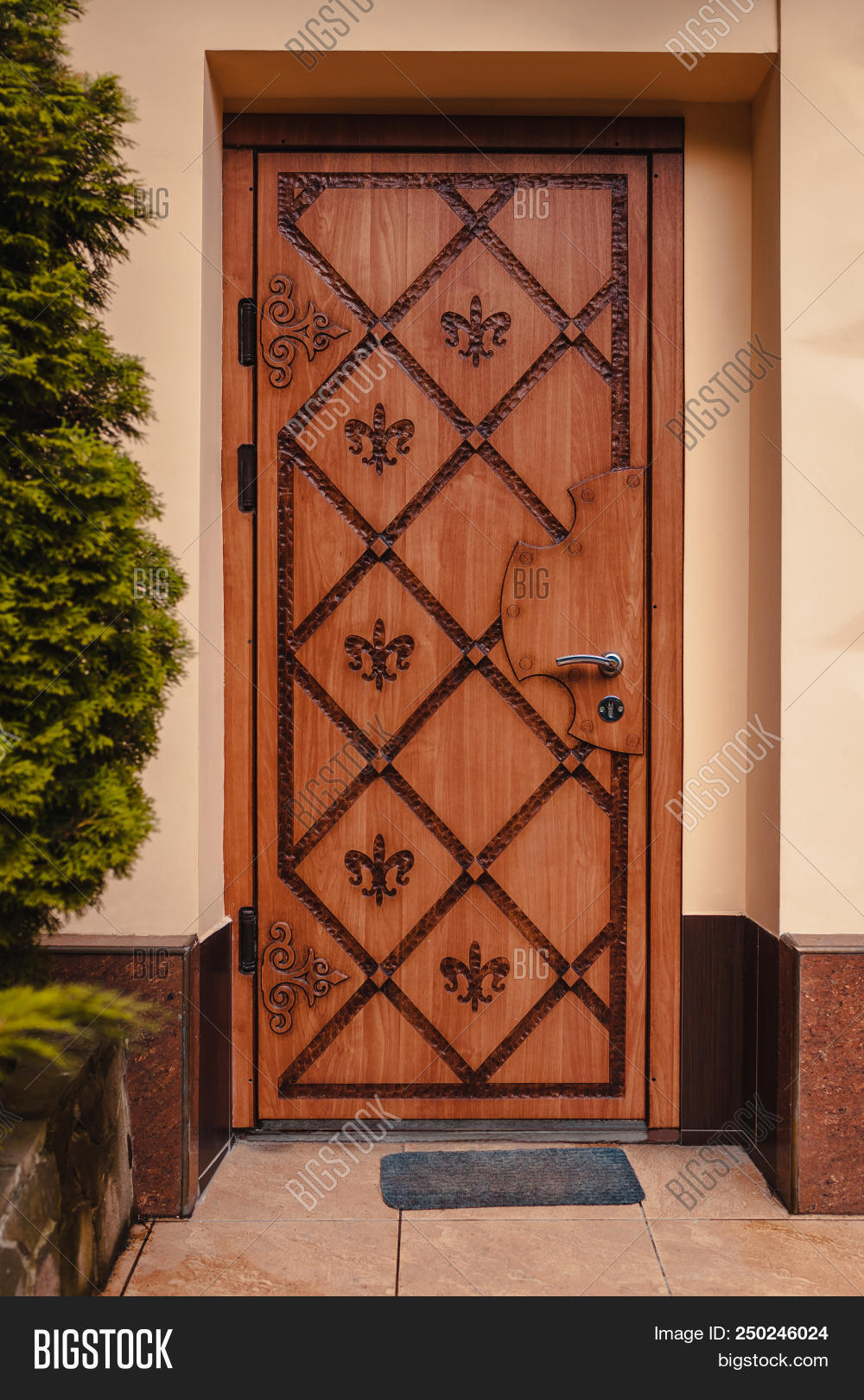 Wooden Door Tree Image & Photo (Free Trial) | Bigstock