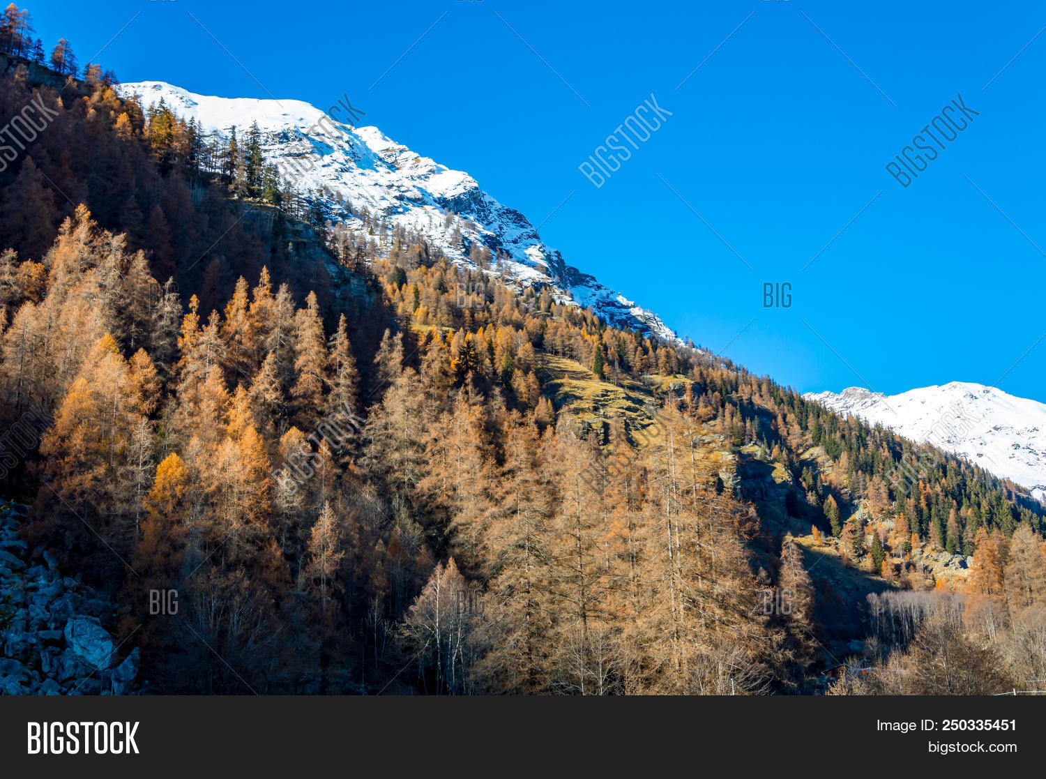 Woodland Alpine Valley Image & Photo (Free Trial) | Bigstock