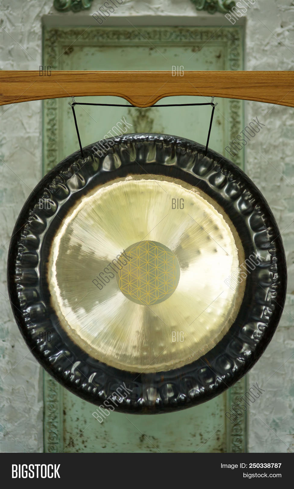 Musical Instrument Image & Photo (Free Trial) | Bigstock