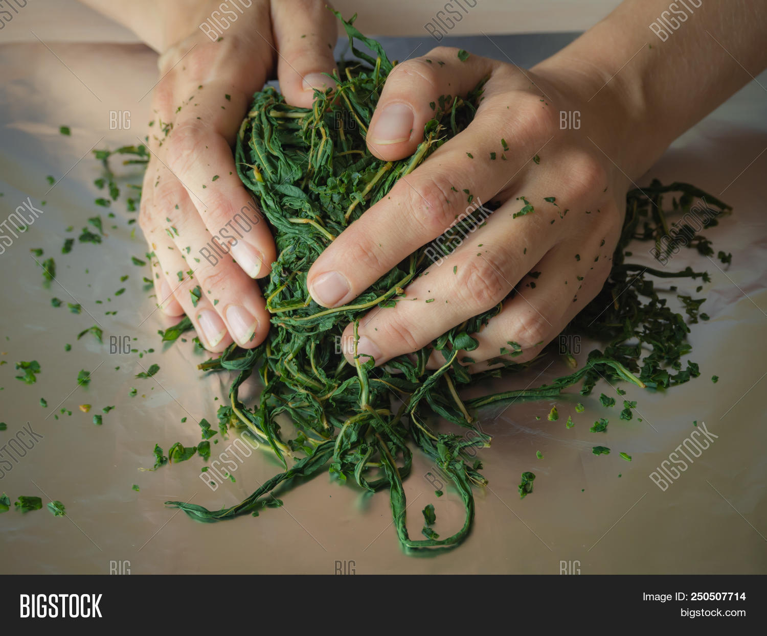 Fermentation Process Image & Photo (Free Trial) | Bigstock