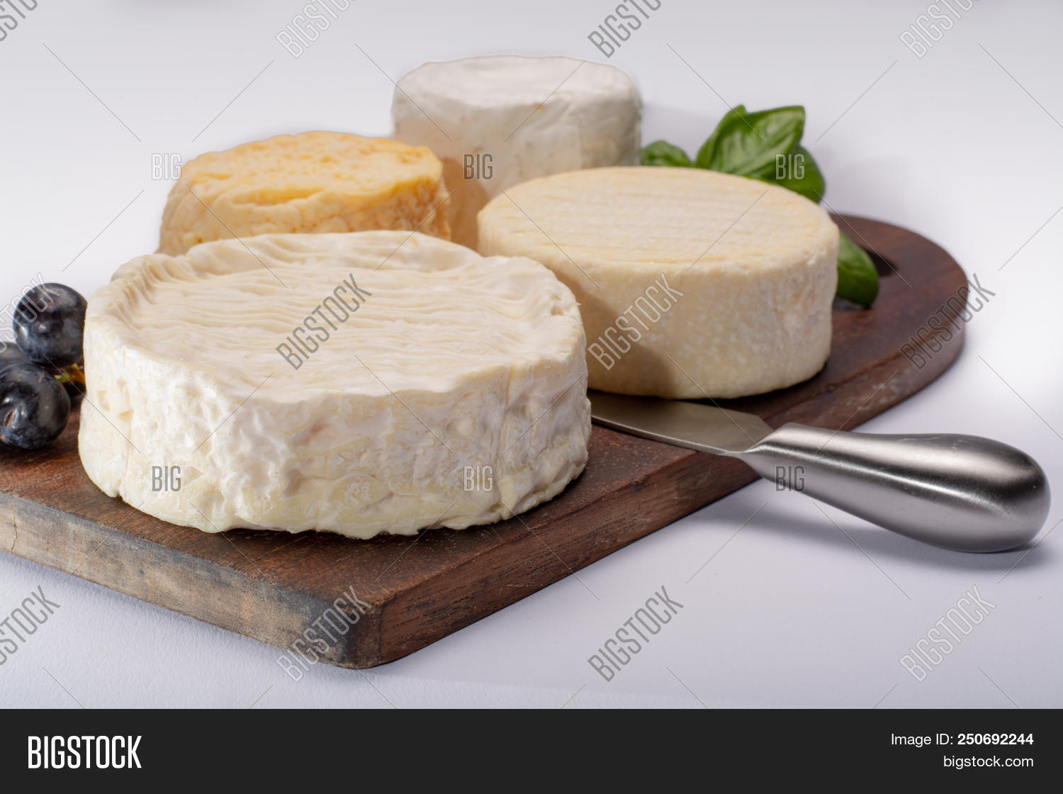 French Aoc Soft Cow Image & Photo (Free Trial) | Bigstock
