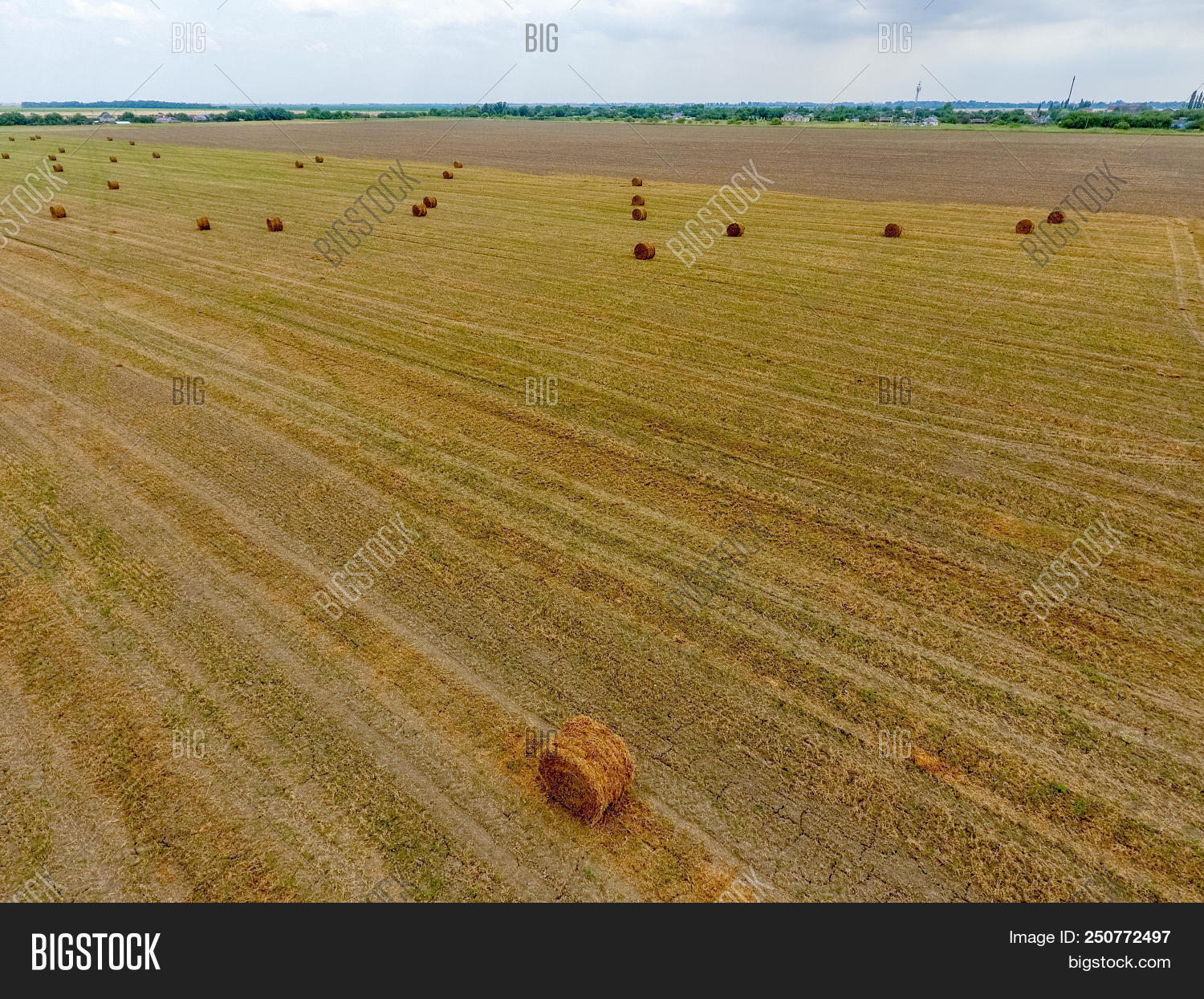 Bales Hay Field. Image & Photo (Free Trial) | Bigstock