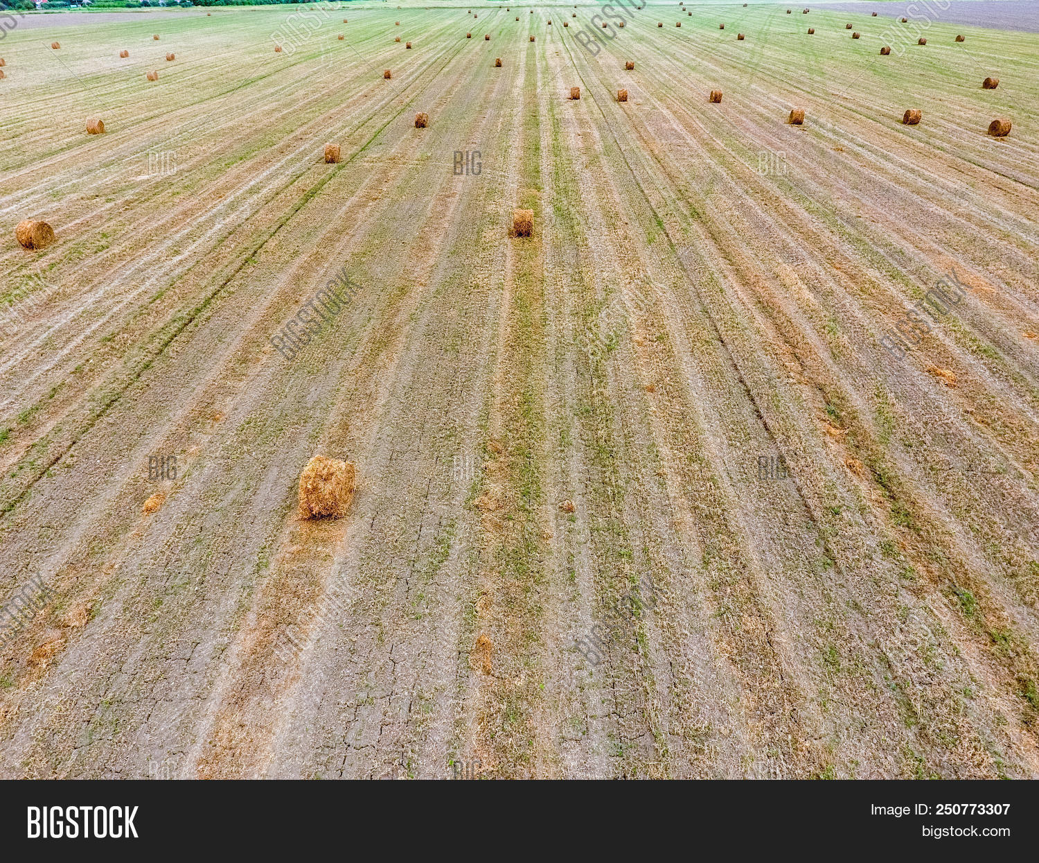 Bales Hay Field. Image & Photo (Free Trial) | Bigstock