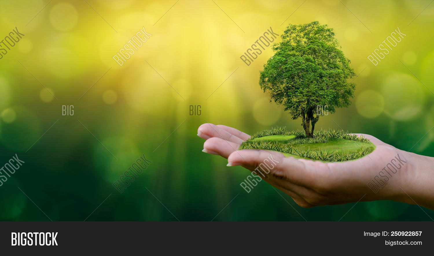Environment Earth Day Image & Photo (Free Trial) | Bigstock