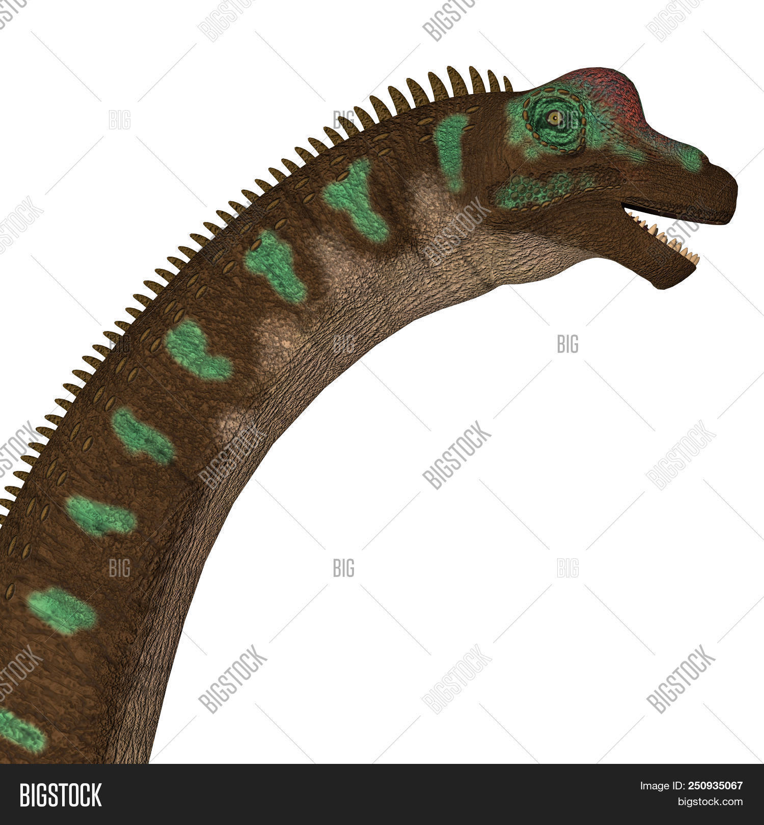 Giraffatitan Dinosaur Image & Photo (Free Trial) | Bigstock