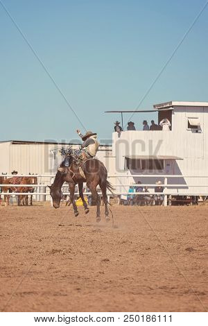 Cowboy Riding Bucking Image & Photo (Free Trial) | Bigstock