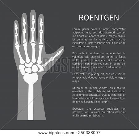 Roentgen Poster Text Vector & Photo (Free Trial) | Bigstock