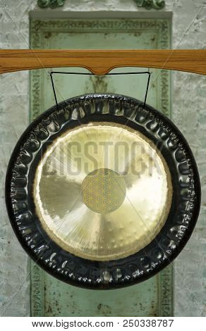 Musical Instrument Image & Photo (Free Trial) | Bigstock