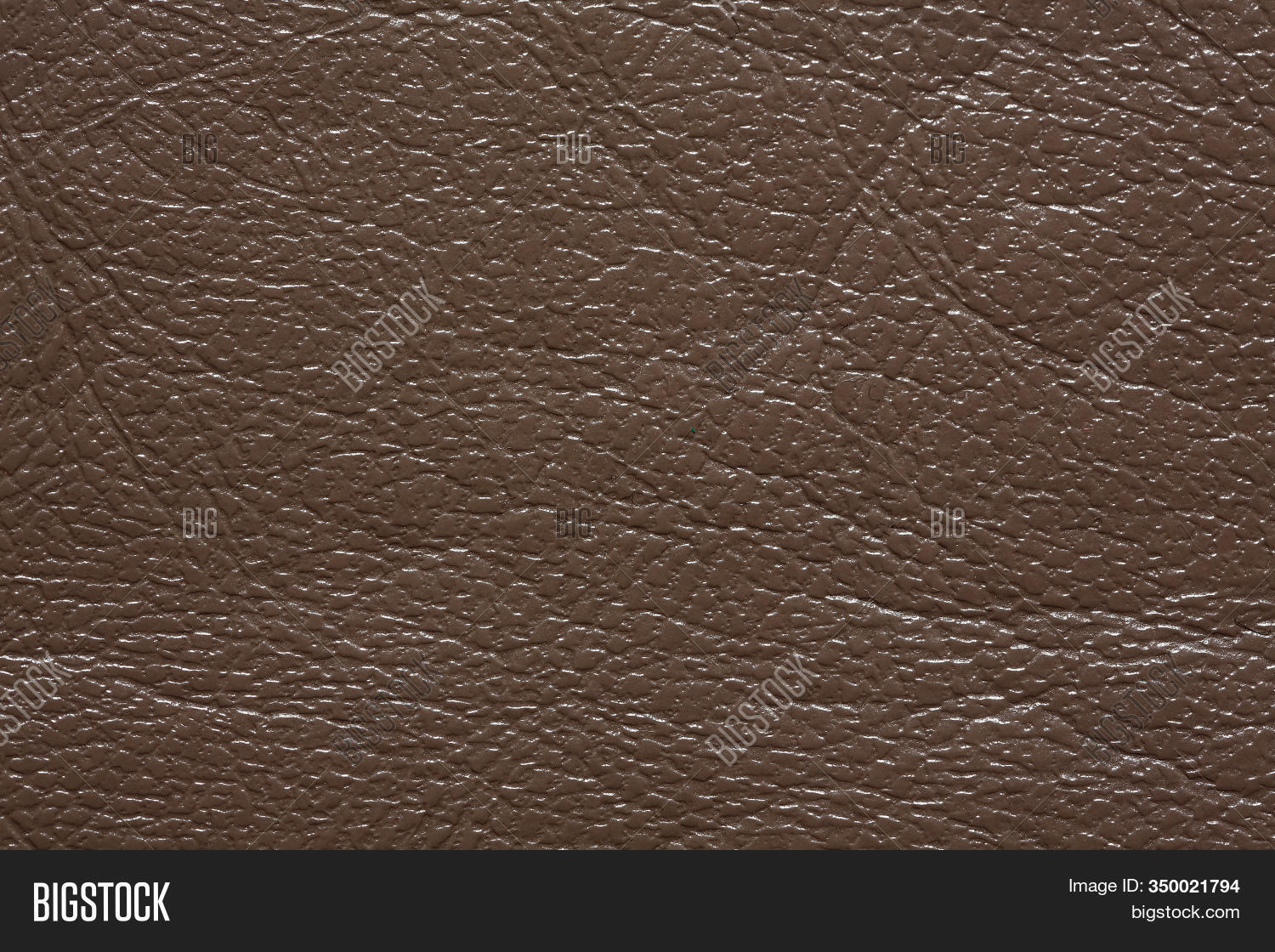 Varnished Leatherette Image & Photo (Free Trial) | Bigstock