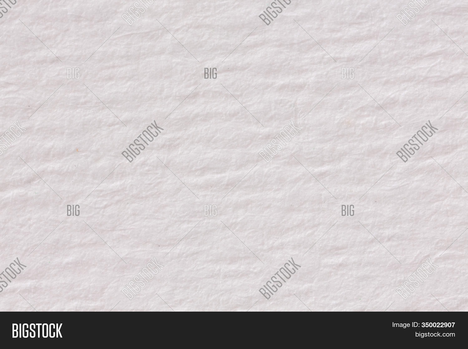Light Beige Paper Image & Photo (Free Trial) | Bigstock