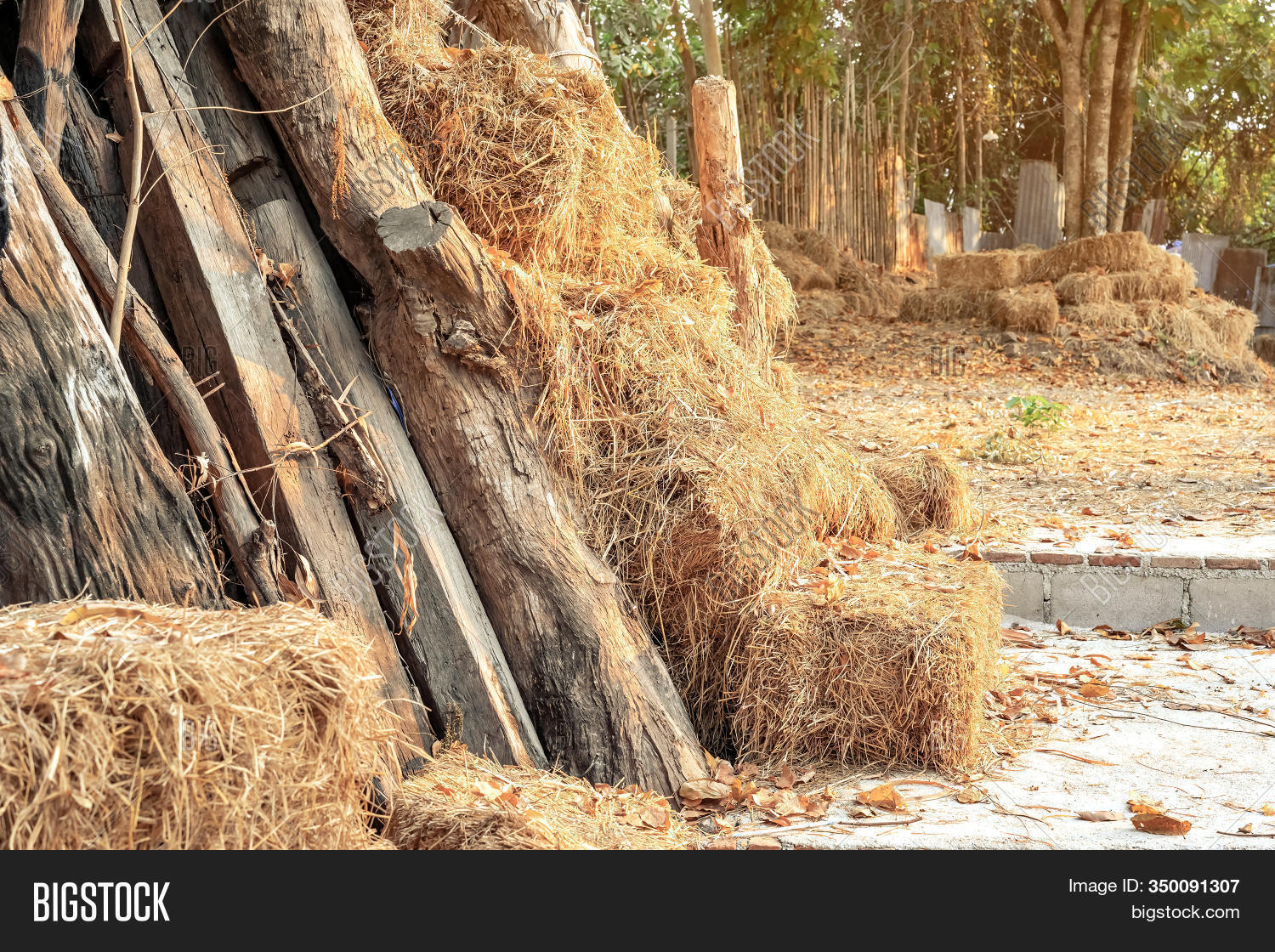Piled Stacks Dry Straw Image & Photo (Free Trial) | Bigstock