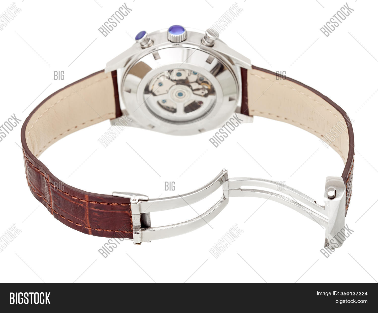 Wristwatch Back View Image & Photo (Free Trial) | Bigstock