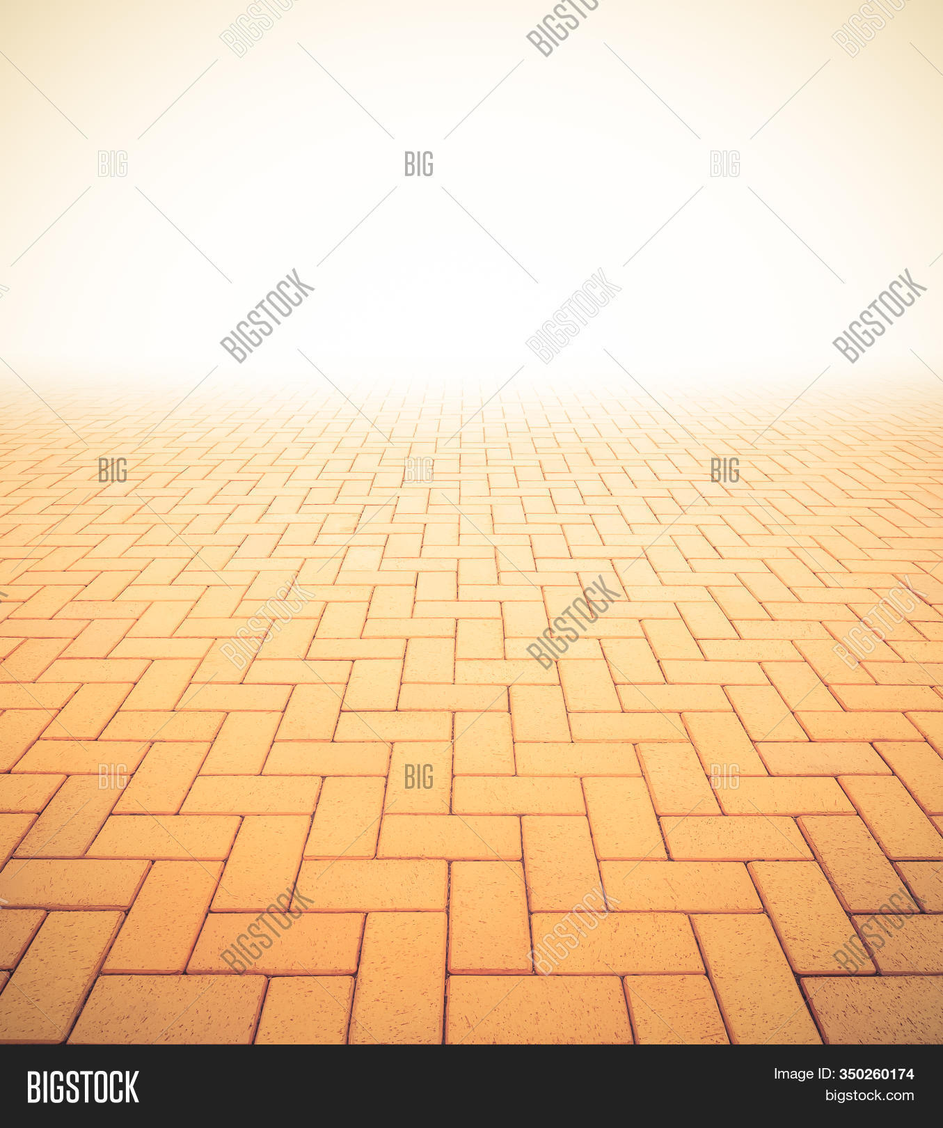 Concrete Paver Block Image & Photo (Free Trial) | Bigstock