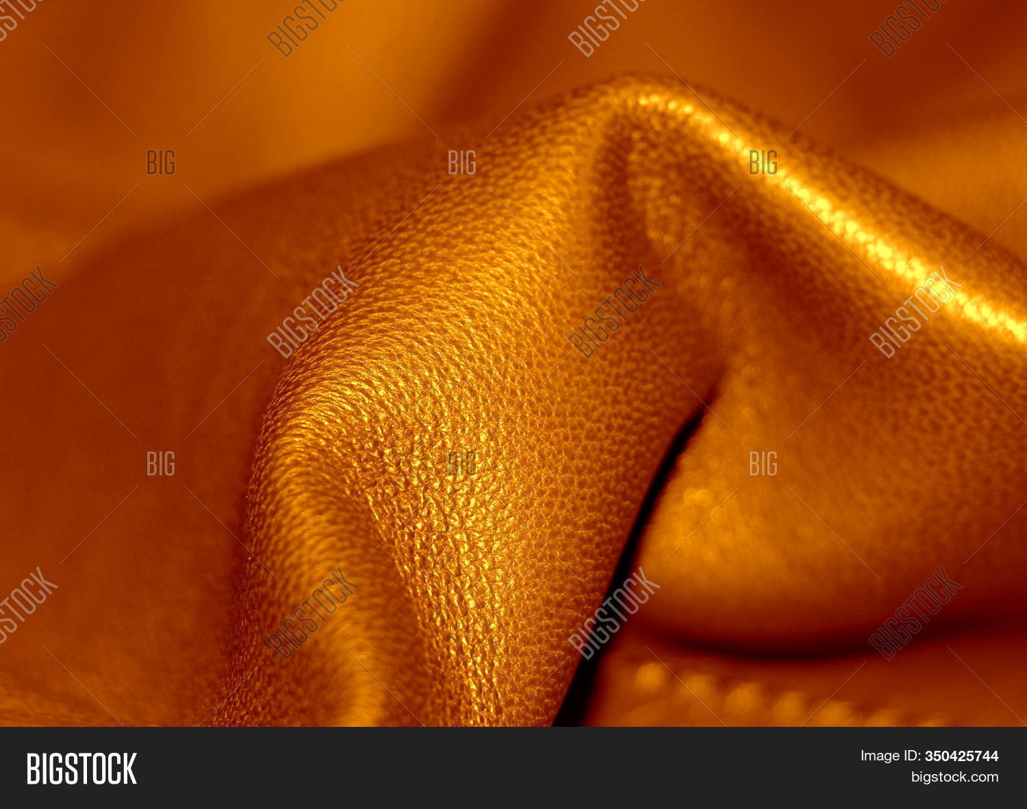 Natural Leather Image & Photo (Free Trial) | Bigstock