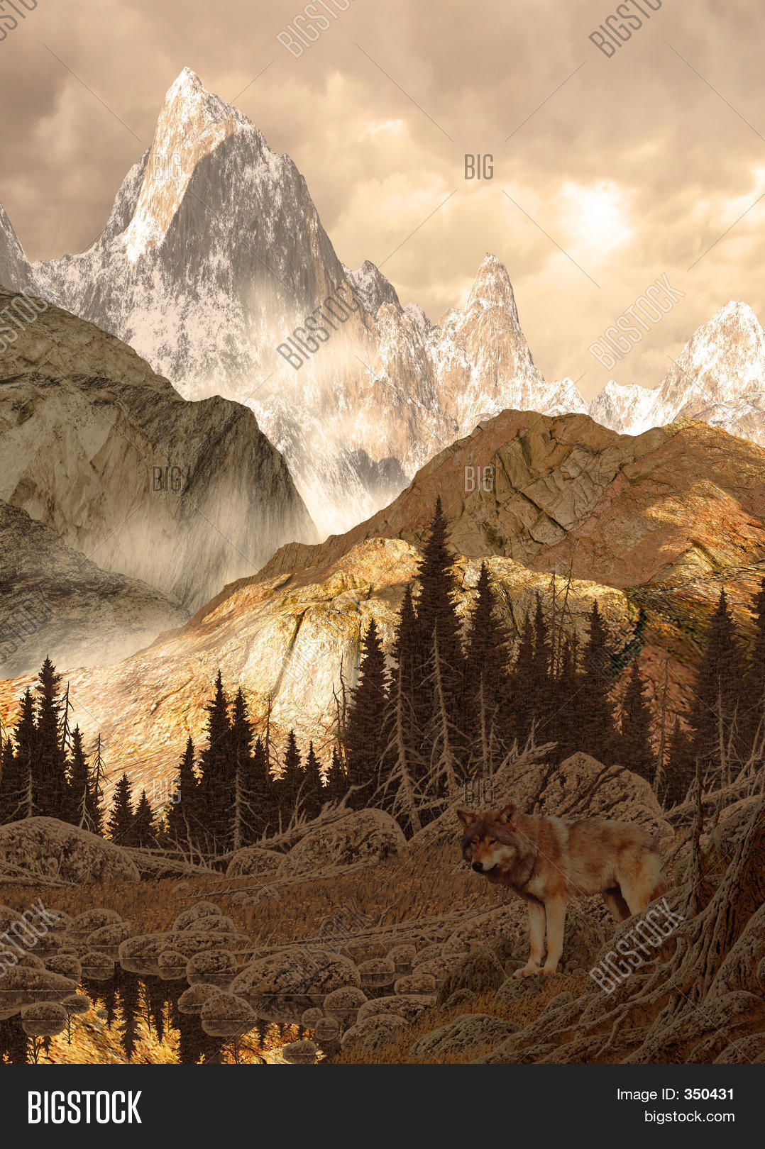 Wolf Rocky Mountains Image & Photo (Free Trial) | Bigstock