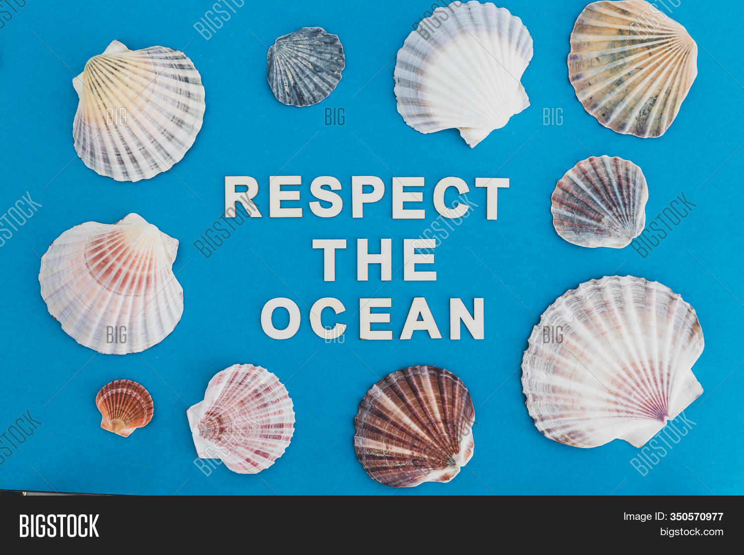 Respect Ocean Text Image & Photo (Free Trial) | Bigstock