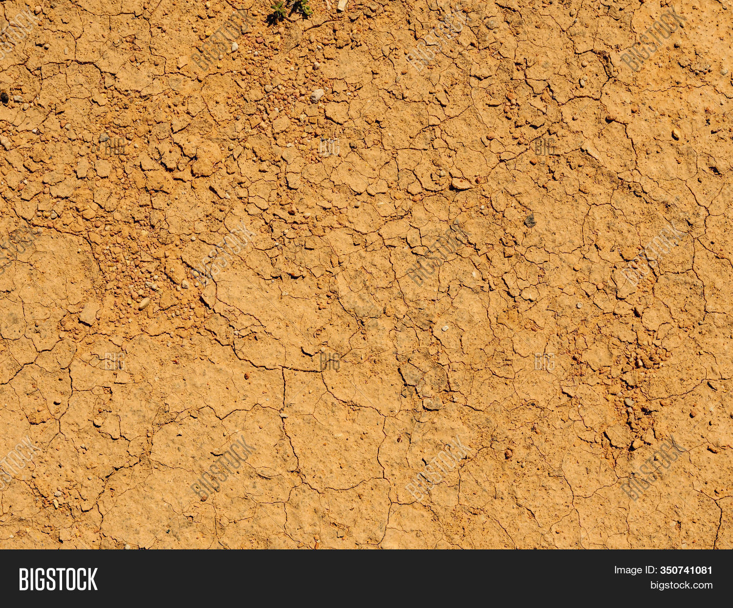 Dry Desert Cracked Image & Photo (Free Trial) | Bigstock