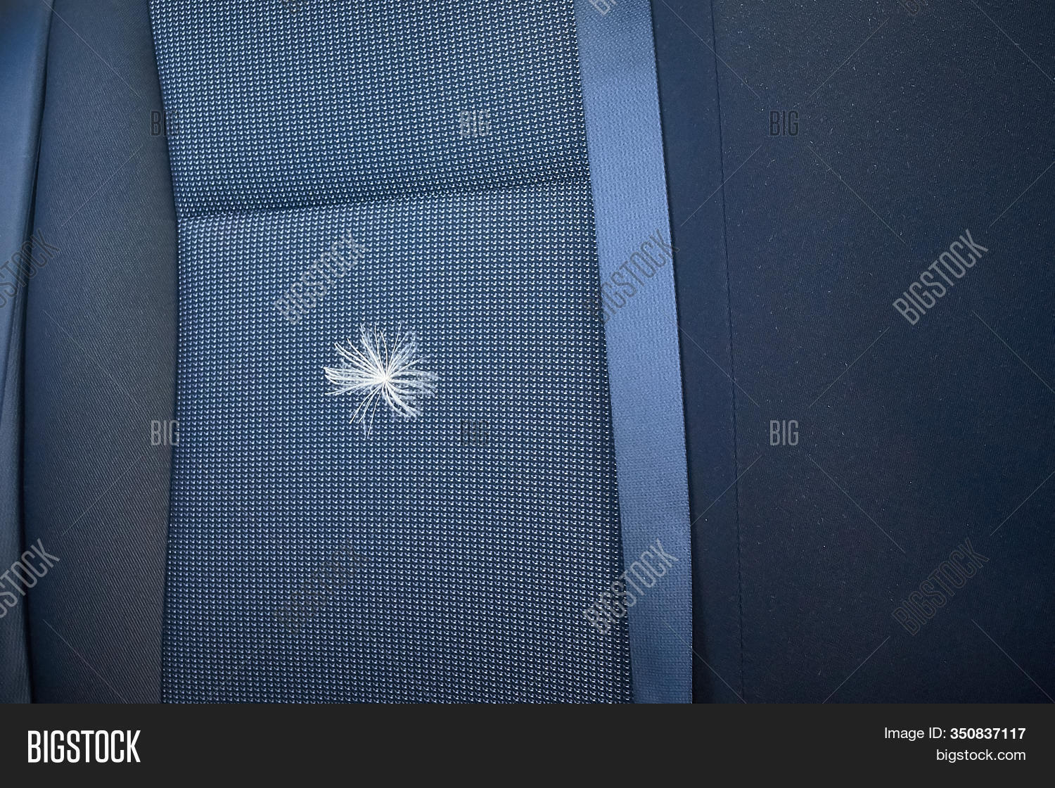 Fluff Car Source Image & Photo (Free Trial) | Bigstock