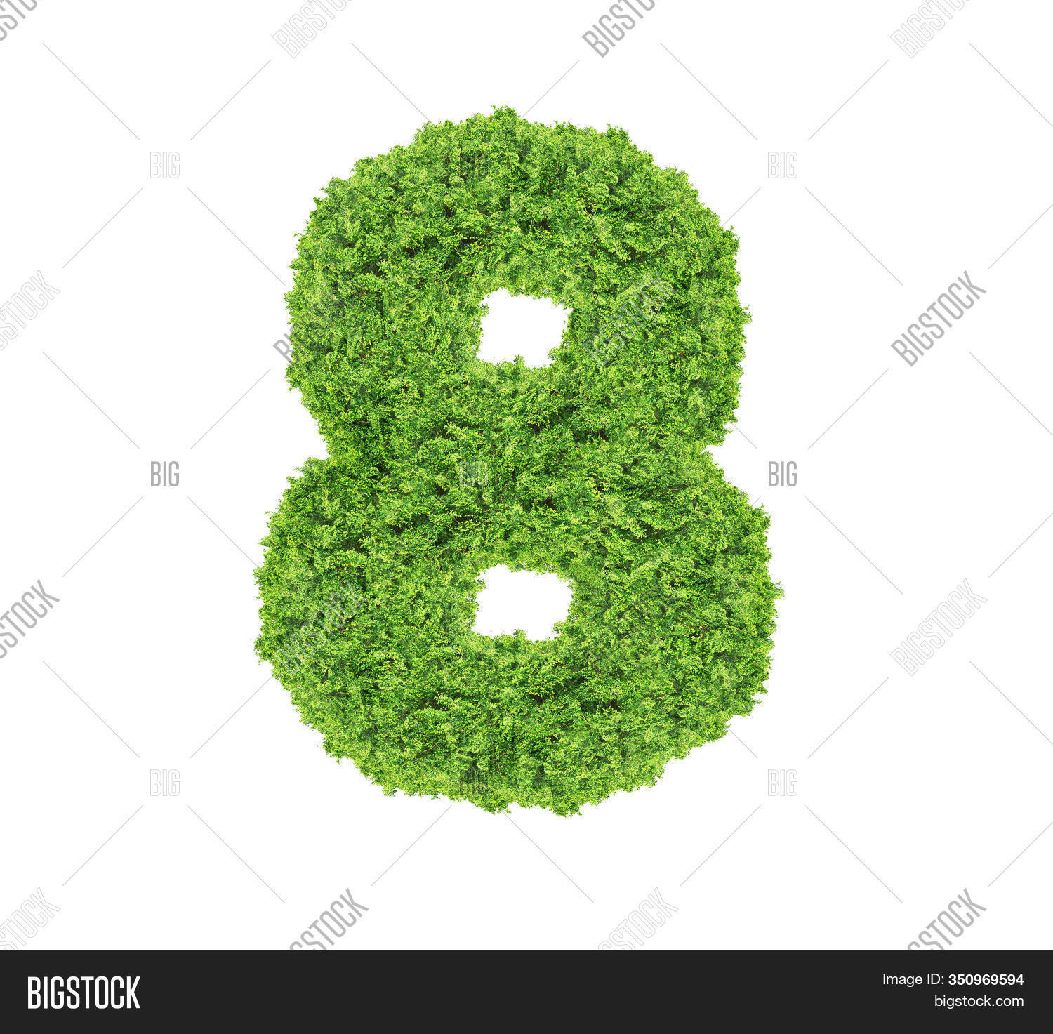 Grass Number Eight Image & Photo (Free Trial) | Bigstock