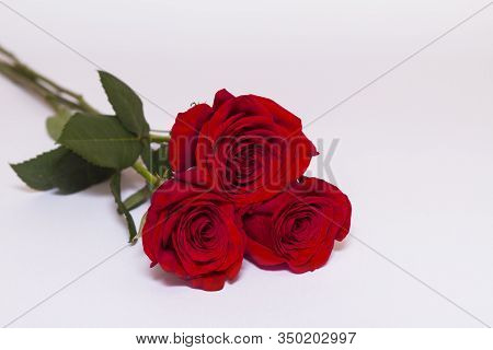 Three Red Roses Green Image & Photo (Free Trial) | Bigstock