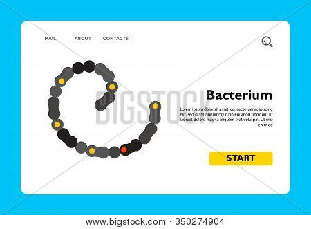 Filamentous Bacterium Vector & Photo (Free Trial) | Bigstock