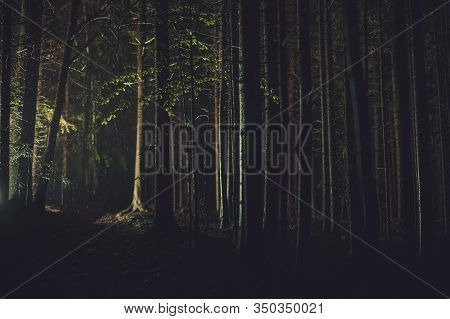 Night Time Rainfall Image & Photo (Free Trial) | Bigstock