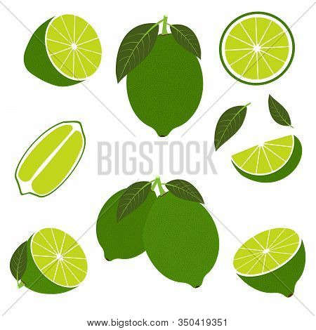 Vector Lime Set Vector & Photo (Free Trial) | Bigstock