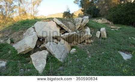 Overgrown Concrete Image & Photo (Free Trial) | Bigstock