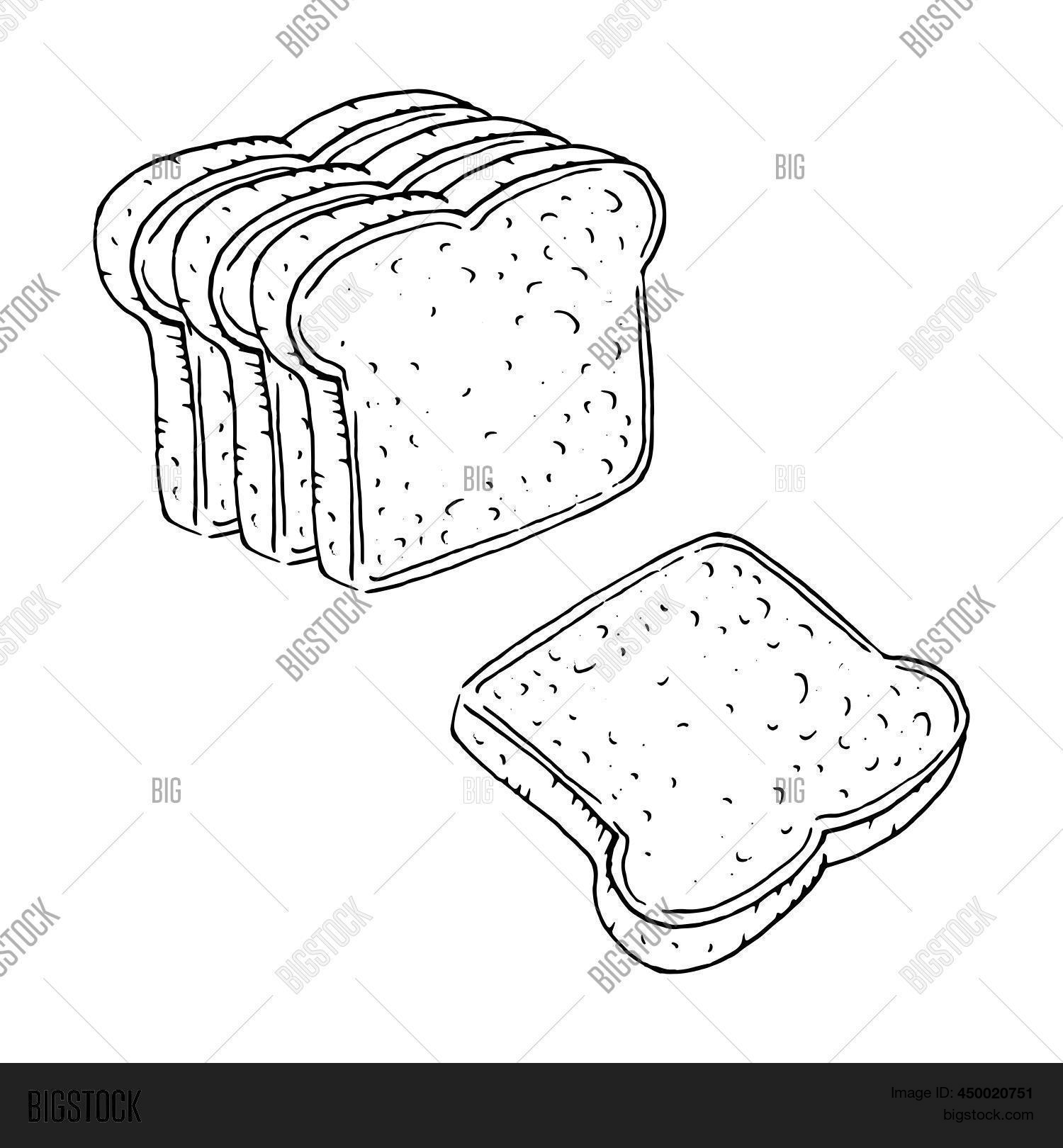 Toast Sketch Hand Vector & Photo (Free Trial) | Bigstock