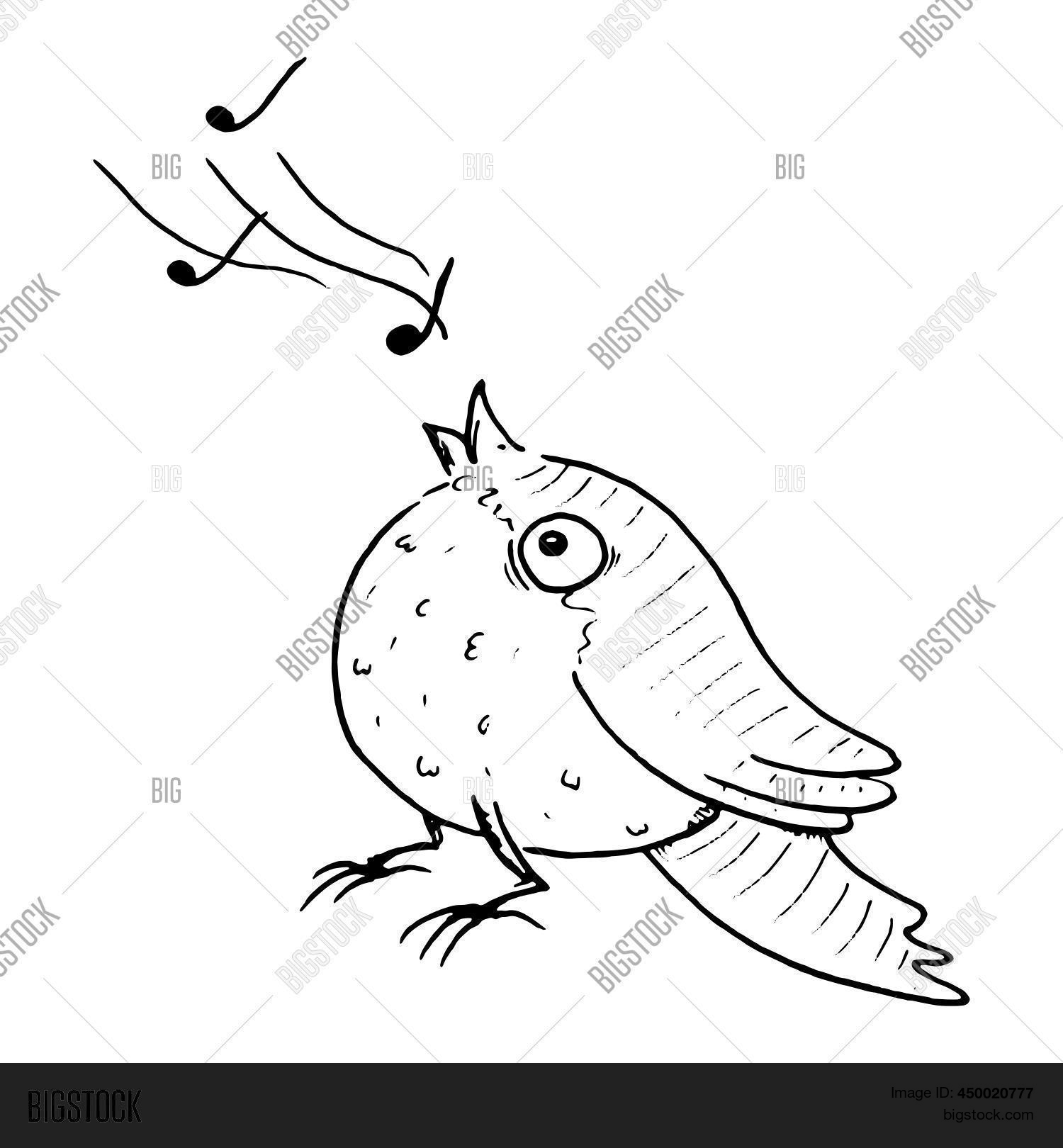 Bird Cartoon Sketch Vector & Photo (Free Trial) | Bigstock