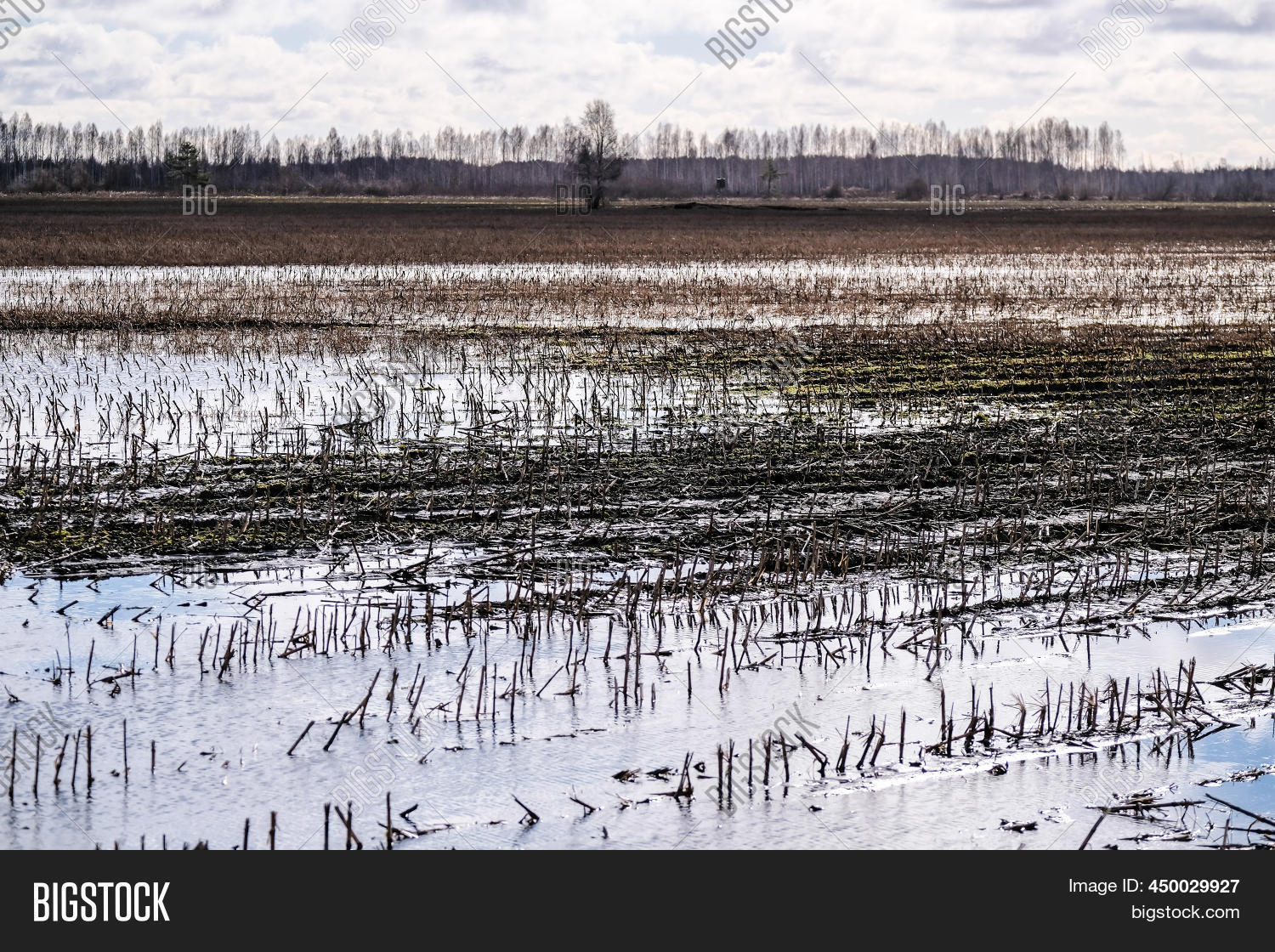 Flooded Crop Field. Image & Photo (Free Trial) | Bigstock