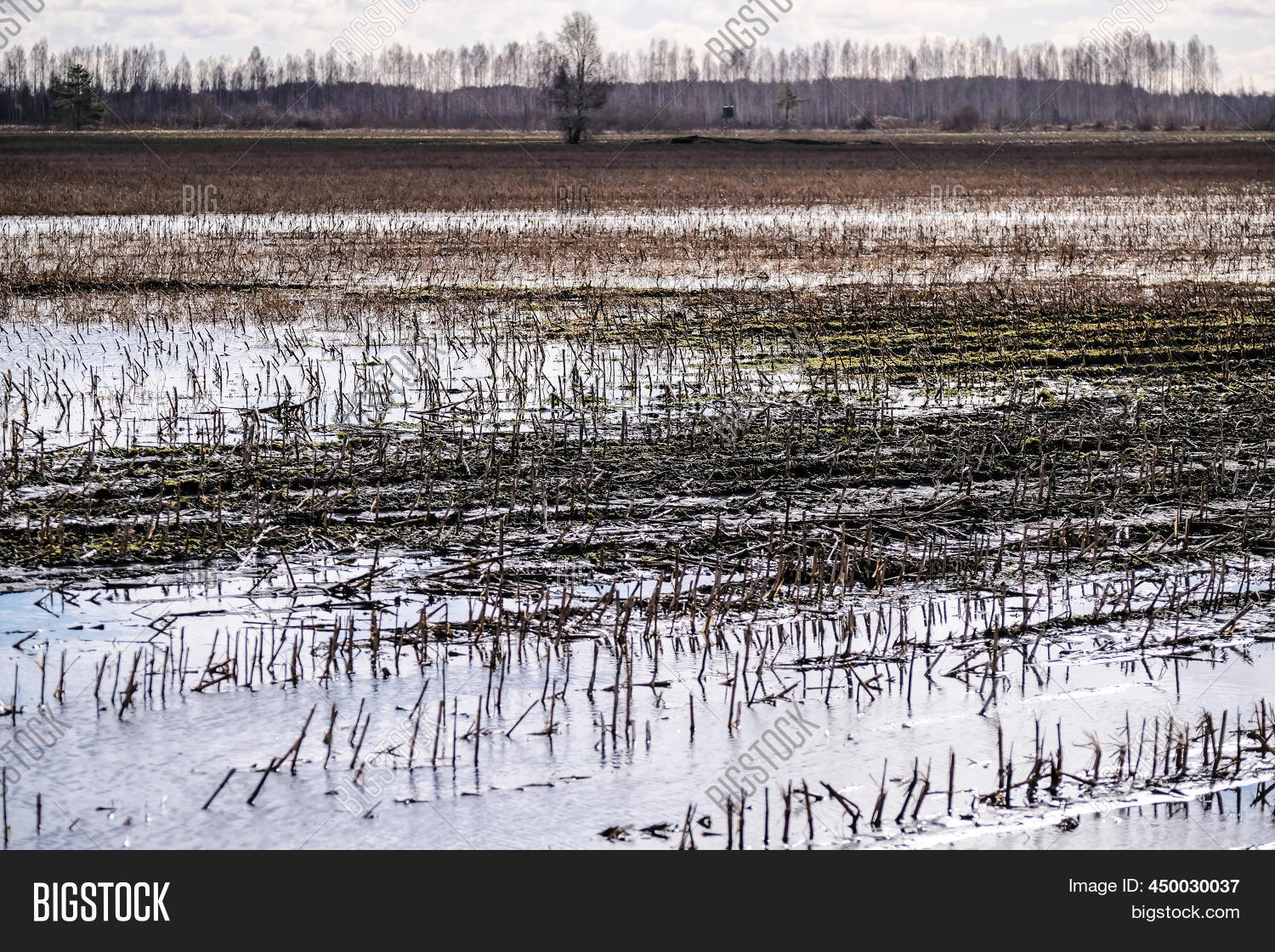 Flooded Crop Field. Image & Photo (Free Trial) | Bigstock