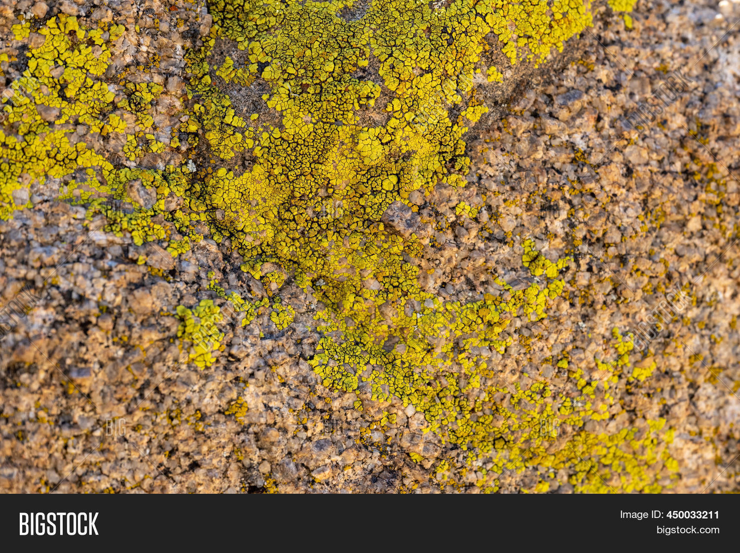 Imagen y foto Bright Yellow (prueba gratis) | Bigstock