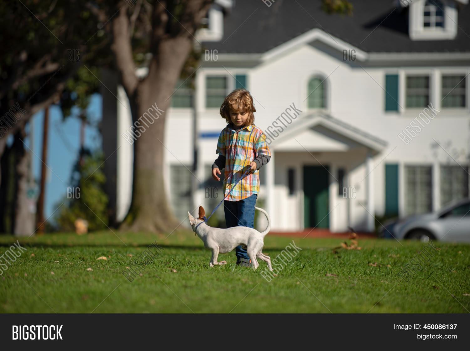 Young Boy Child Dog Image & Photo (Free Trial) | Bigstock