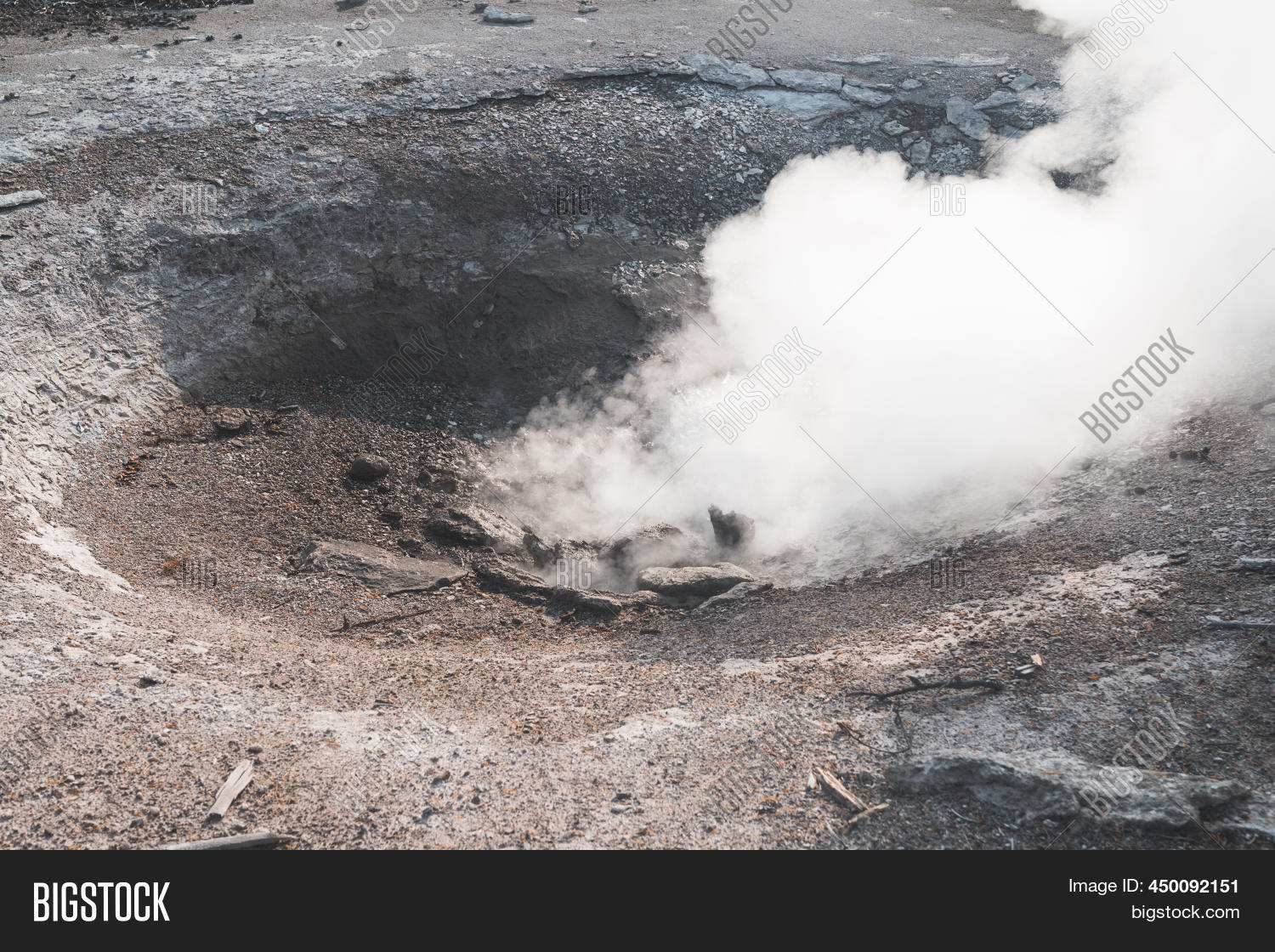 Yellow Funnel Spring Image & Photo (Free Trial) | Bigstock