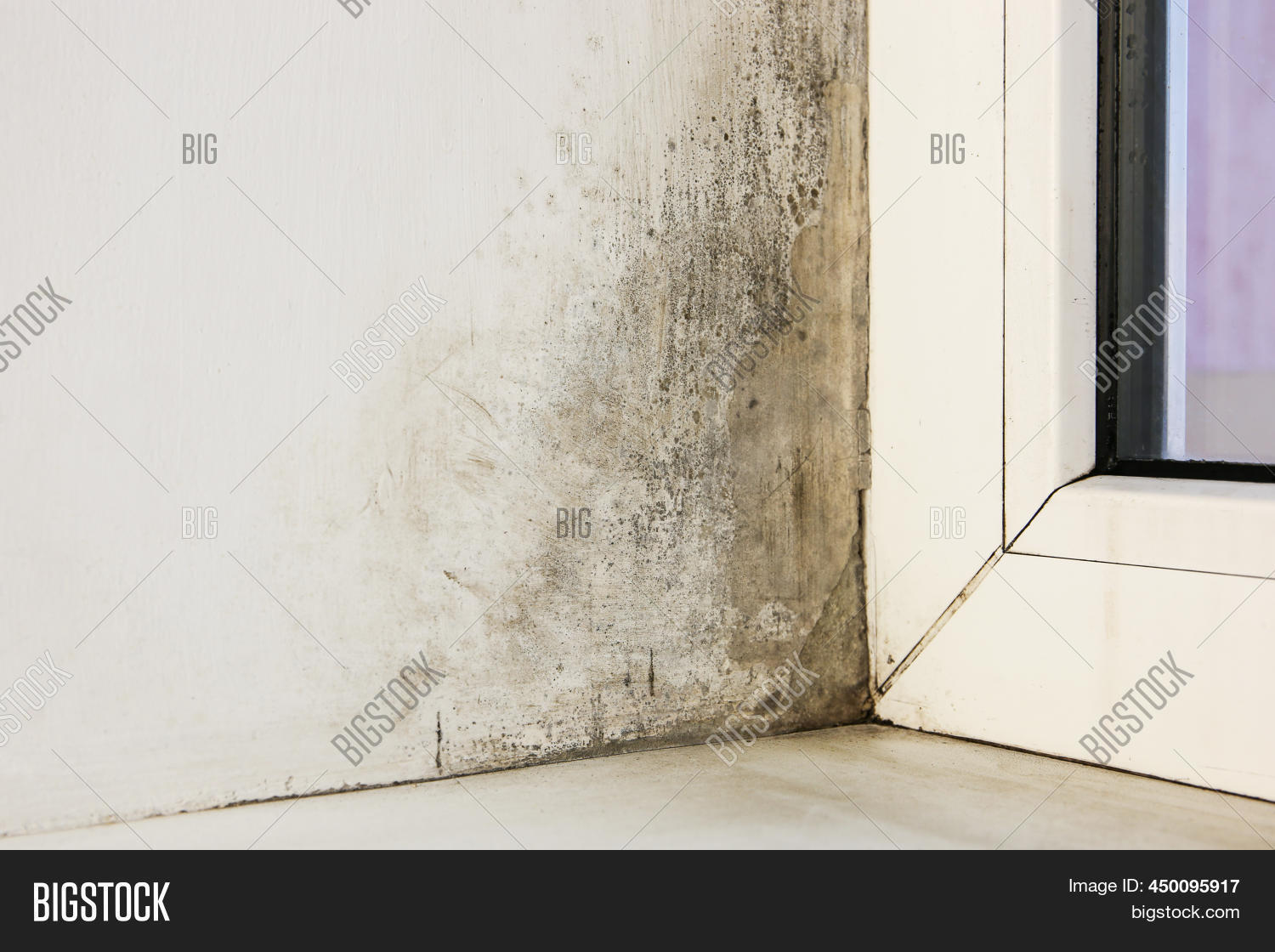 Mold Near Window House Image & Photo (Free Trial) | Bigstock