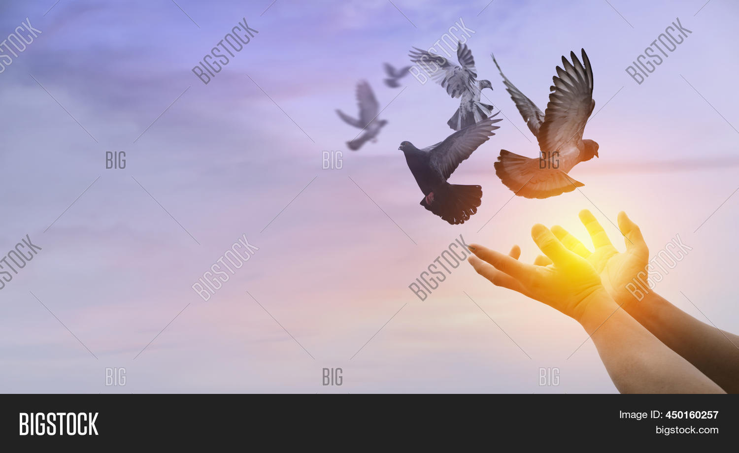 Man Praying Free Bird Image & Photo (Free Trial) | Bigstock