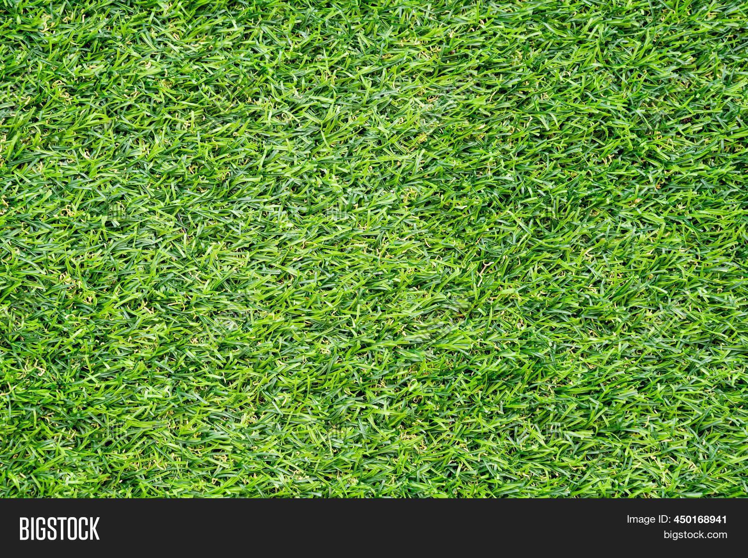 Green Grass Texture Image & Photo (Free Trial) | Bigstock