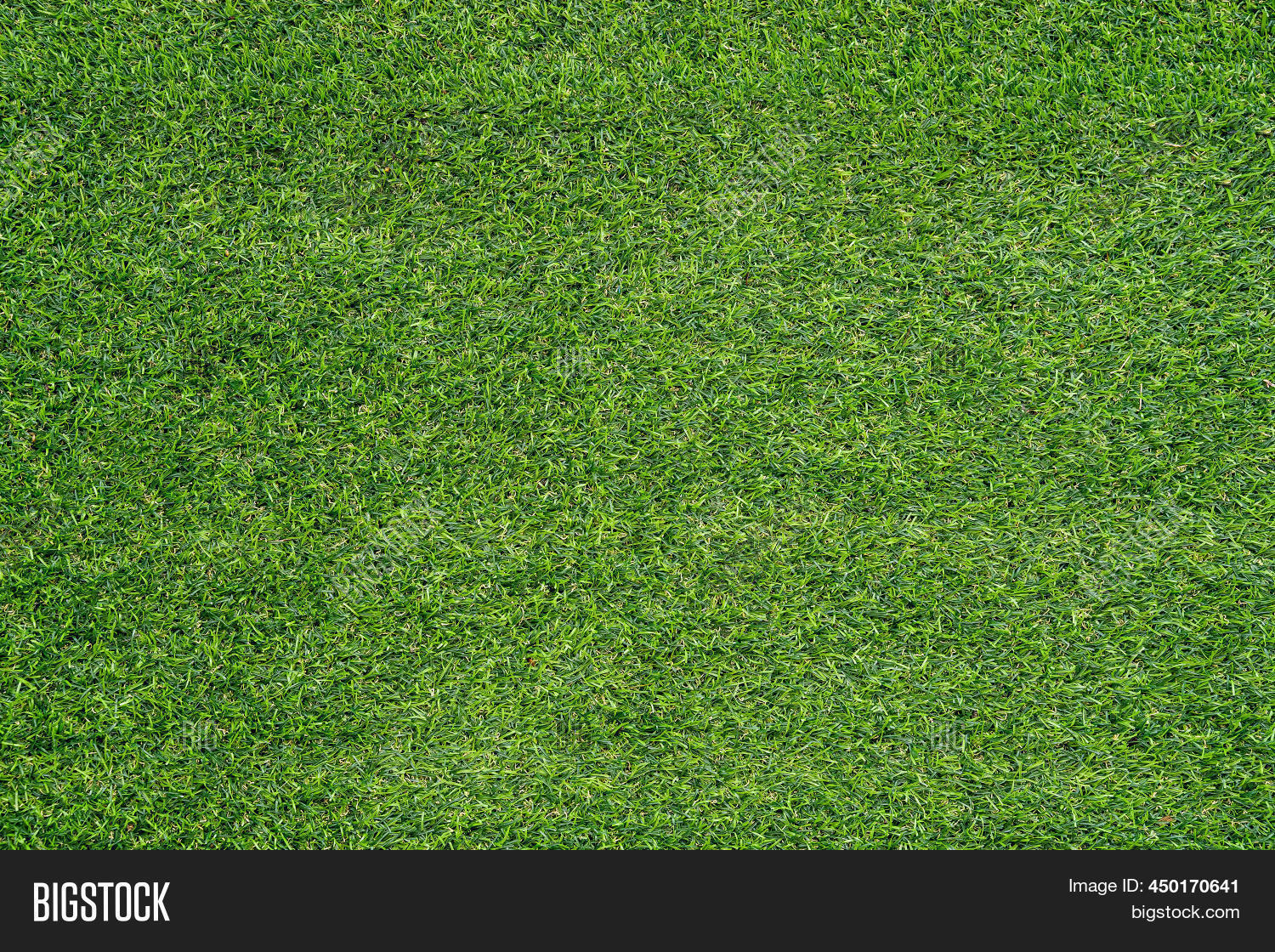 Green Grass Texture Image & Photo (Free Trial) | Bigstock