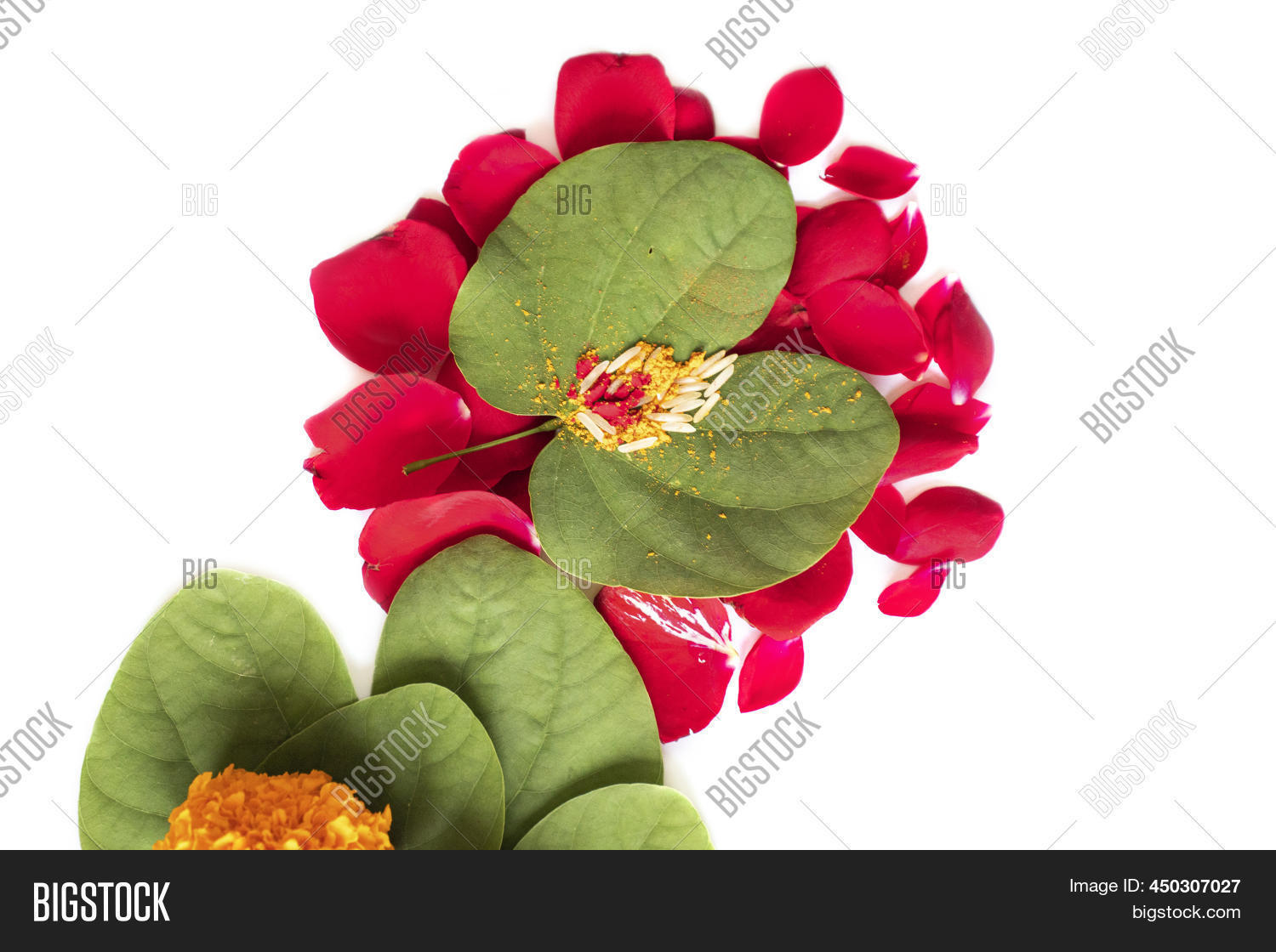 Apta Leaf Indian Image & Photo (Free Trial) | Bigstock