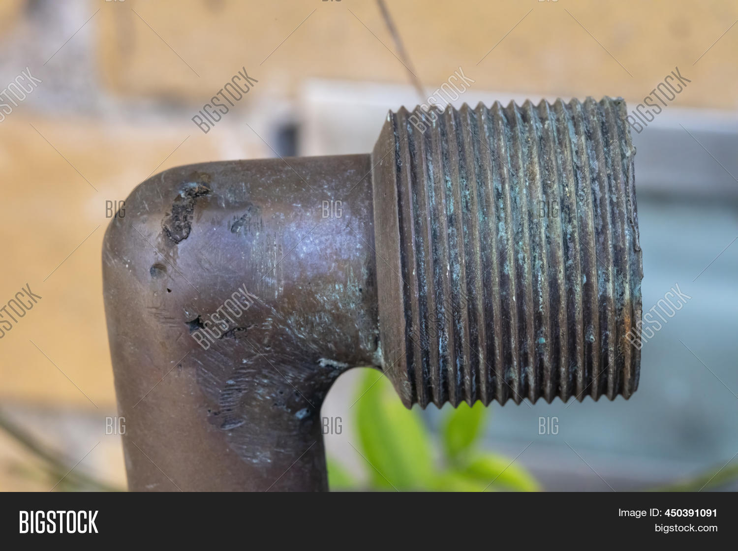 Photograph Female End Image & Photo (Free Trial) | Bigstock