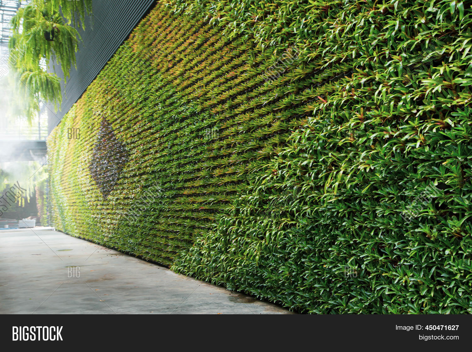 Green Wall Vertical Image & Photo (Free Trial) | Bigstock